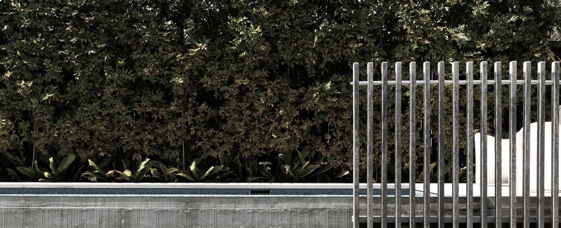 Ariki Street by Topia Garden Design | ArchiPro NZ