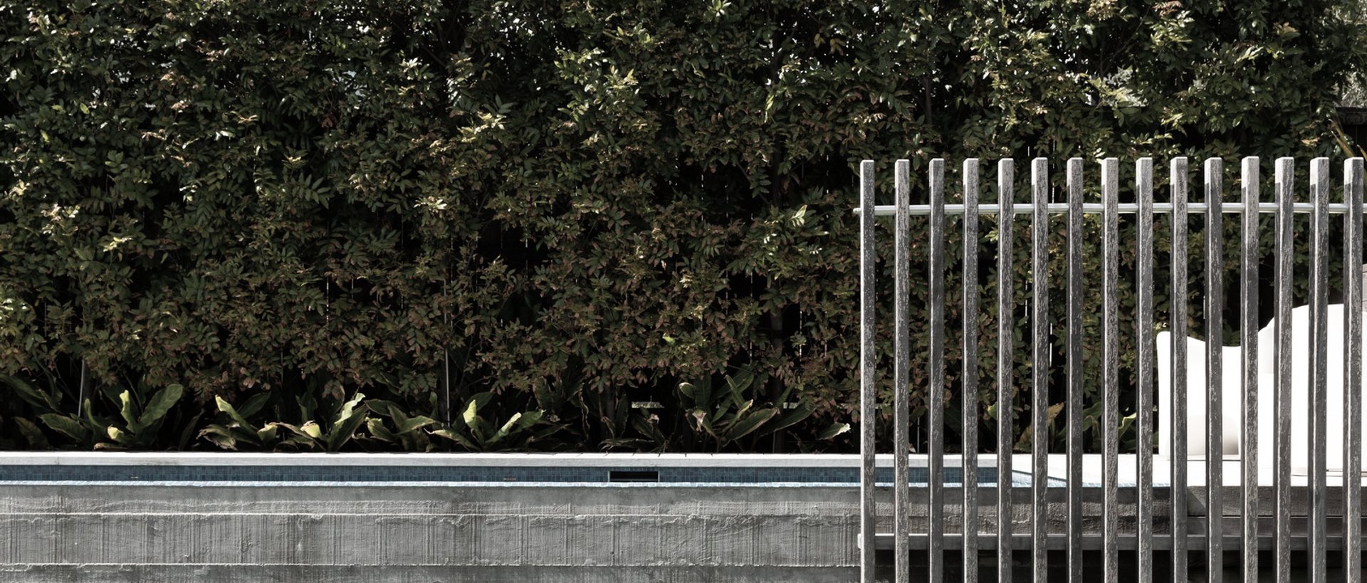 Ariki Street by Topia Garden Design | ArchiPro NZ