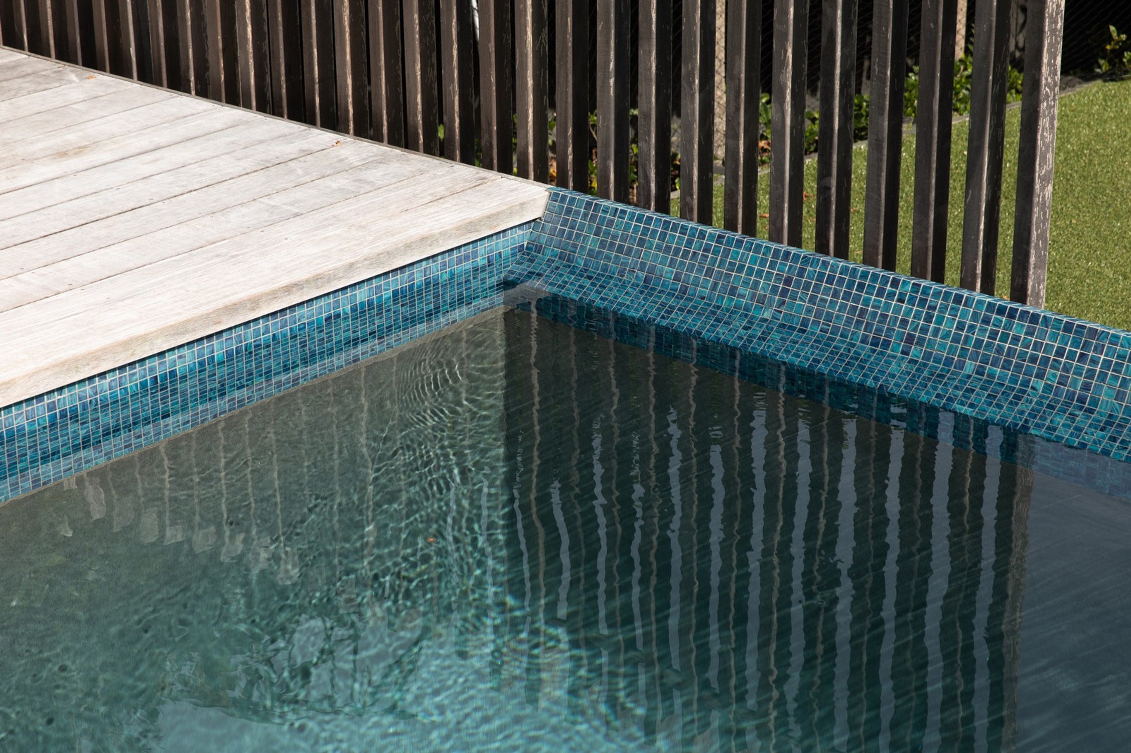 Ariki Street - Topia Garden Design | ArchiPro NZ