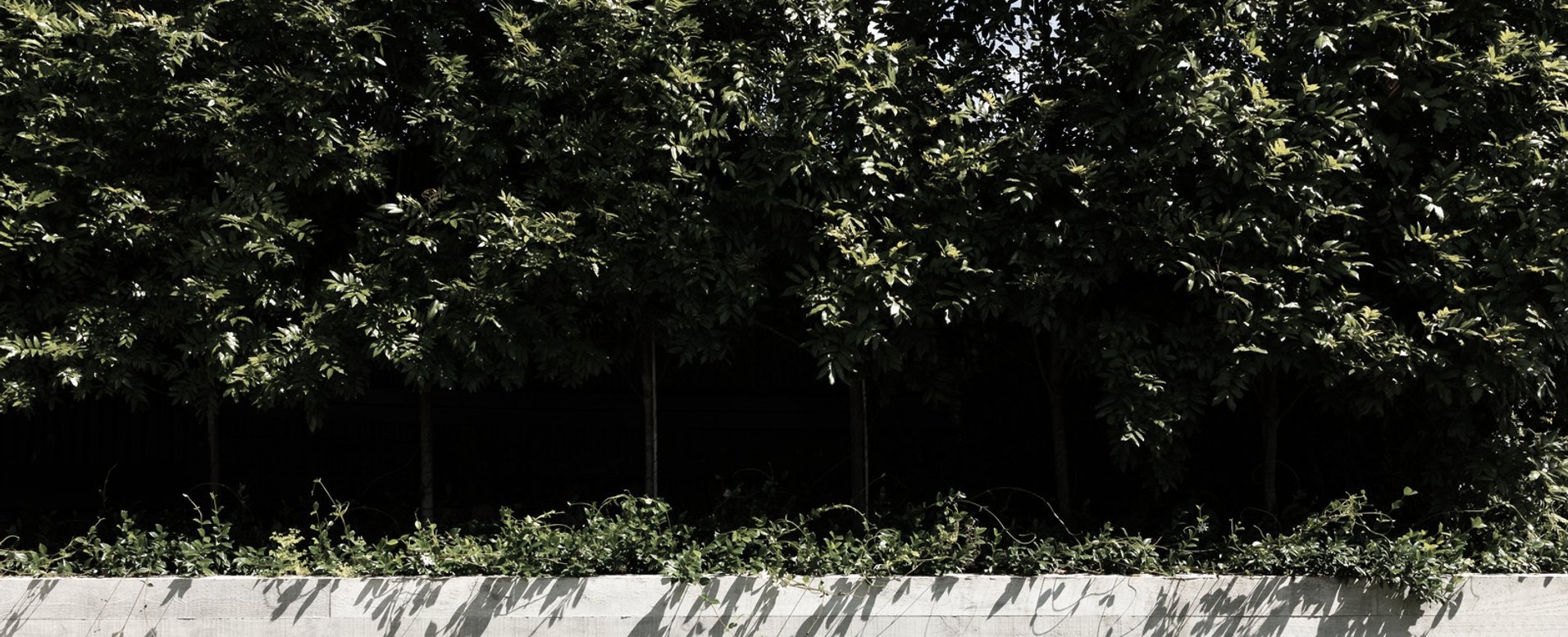 Baildon Road by Topia Garden Design | ArchiPro NZ