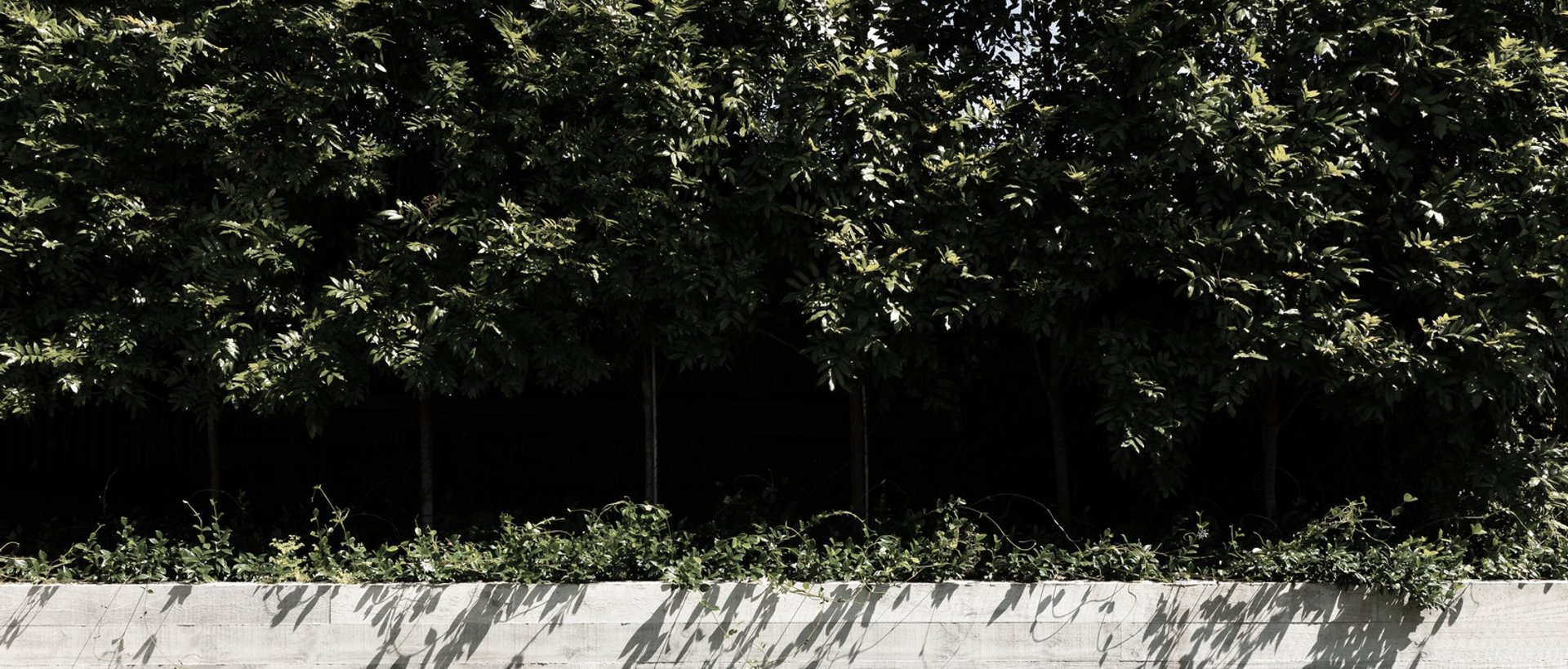 Baildon Road by Topia Garden Design | ArchiPro NZ