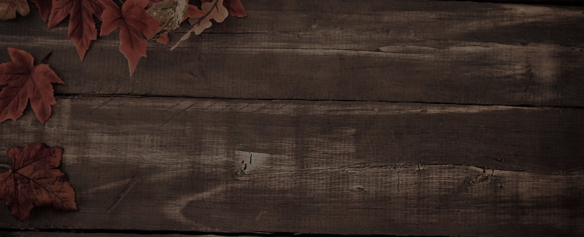 Commercial Joinery | ArchiPro NZ