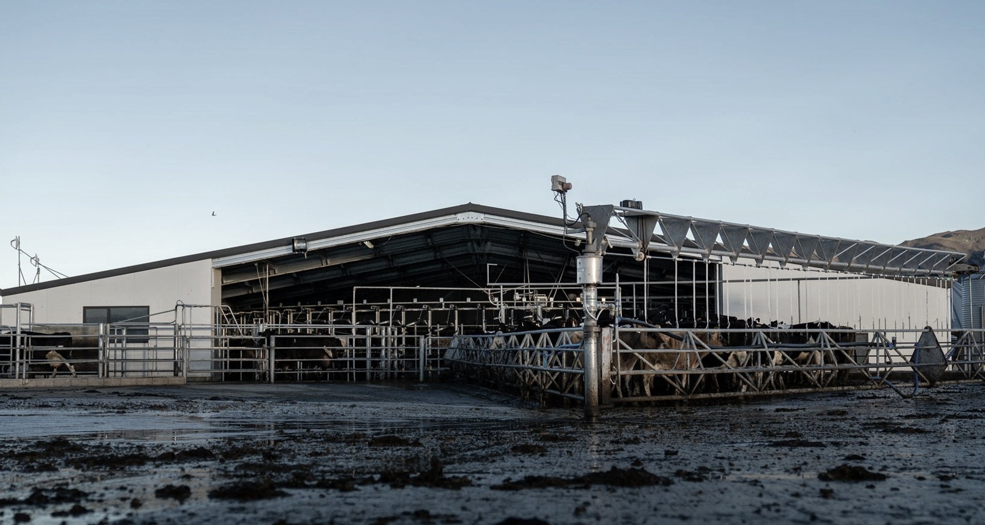 Cowshed, Christchurch by Steel Shed Systems | ArchiPro NZ