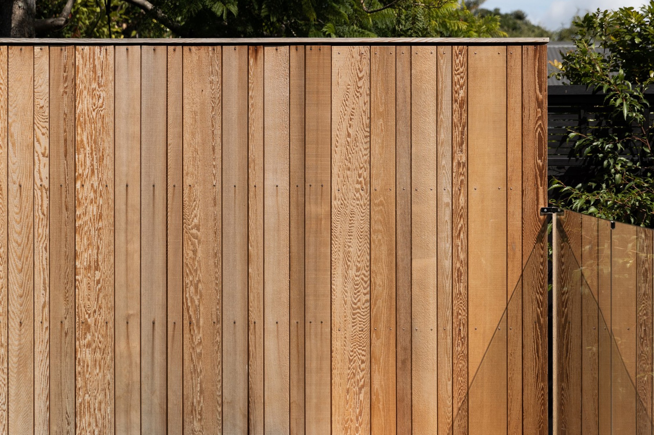 Cumberland Avenue - Topia Garden Design | ArchiPro NZ