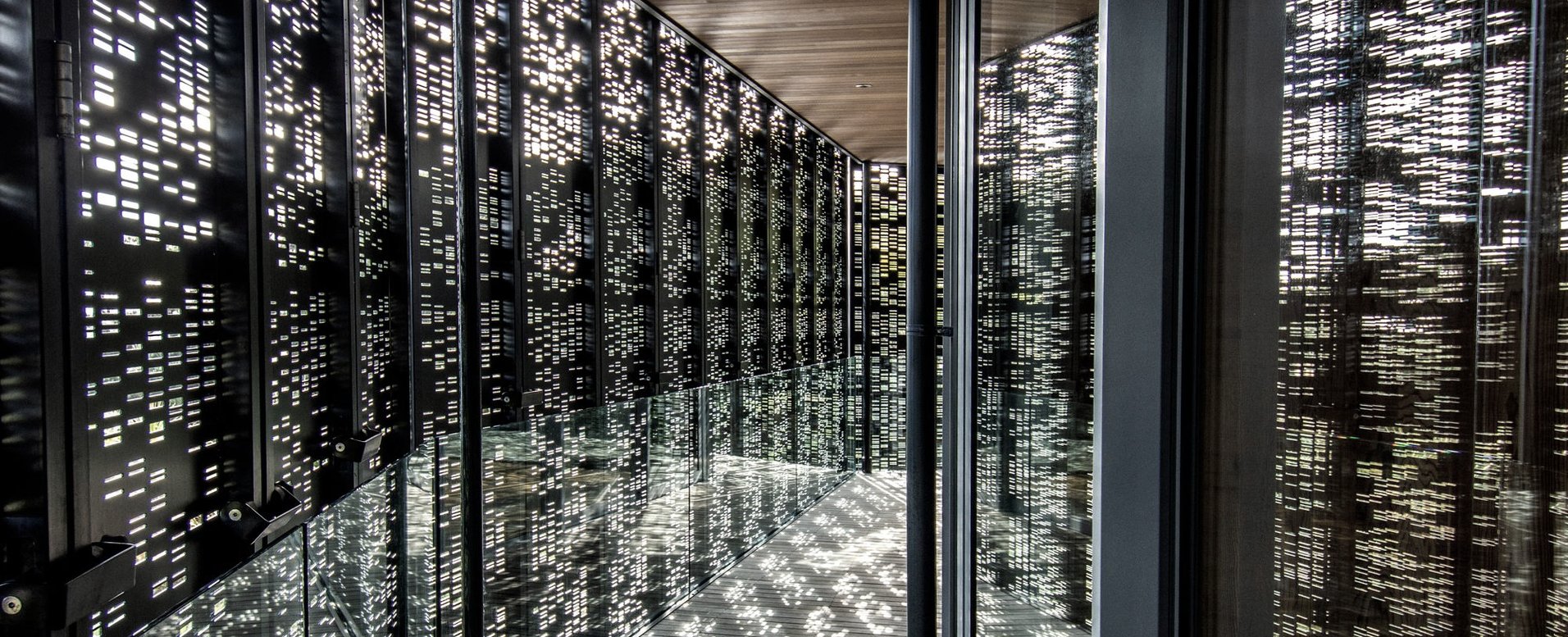 DNA House by Percival Construction | ArchiPro NZ