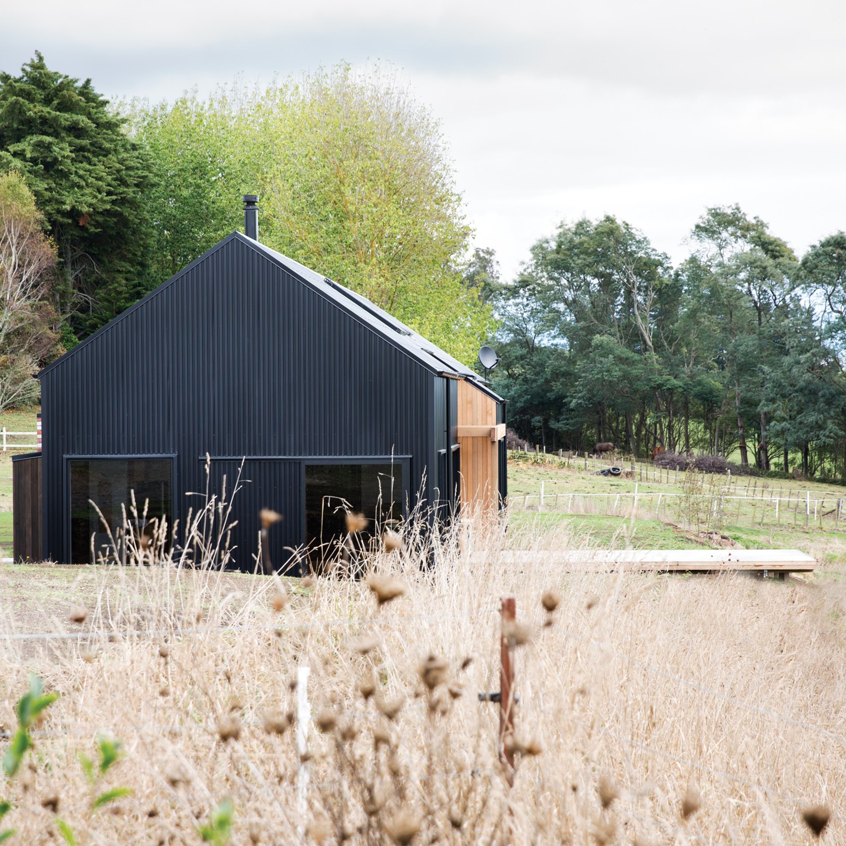 Dimondclad Rib 50 | ArchiPro NZ