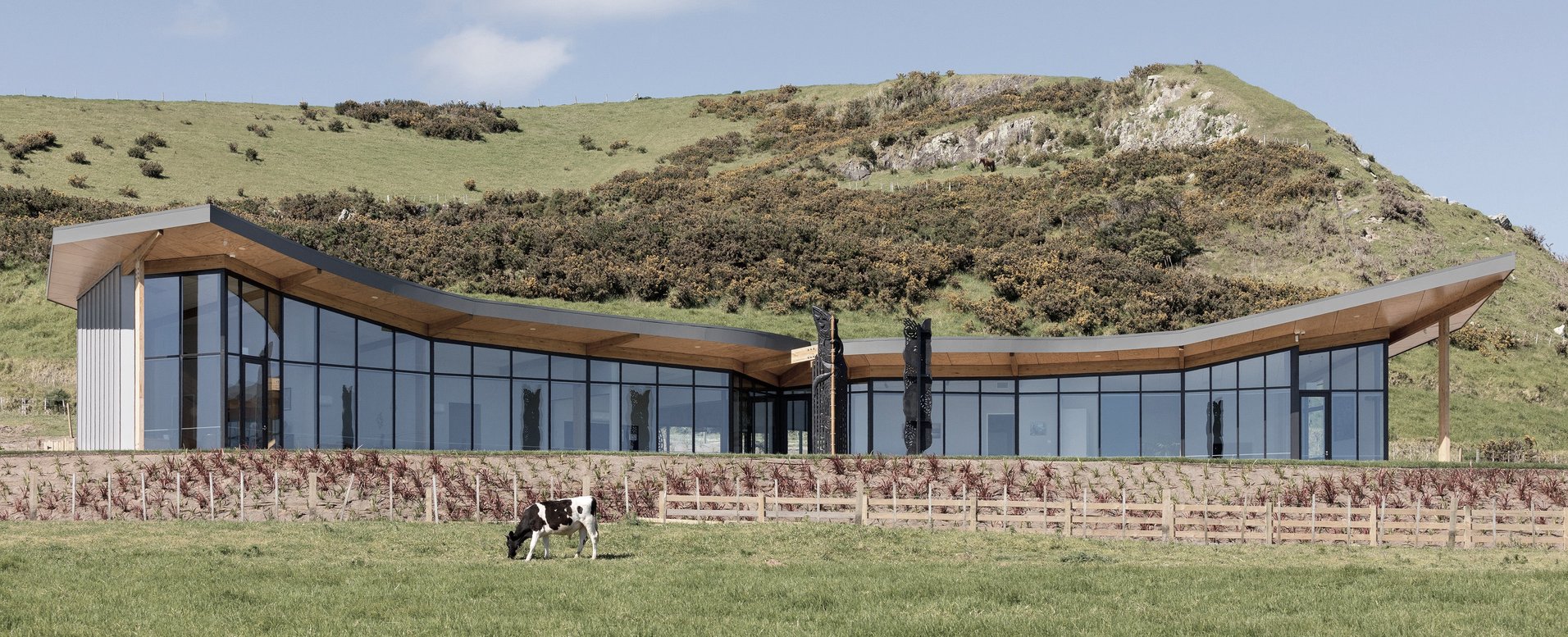 First Principles Architects & Interiors | ArchiPro NZ