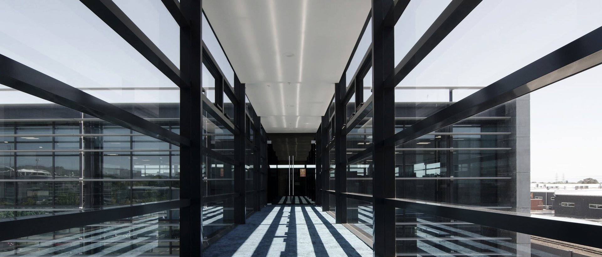 Pelorus Architecture