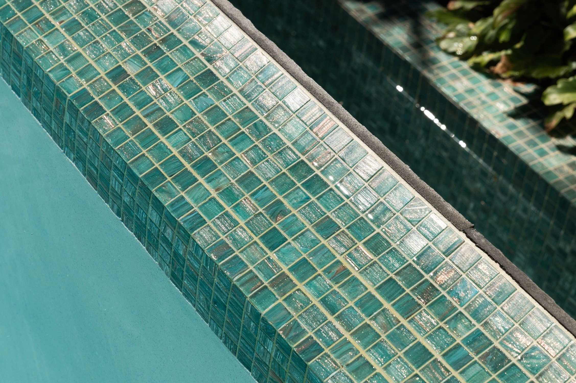 Richmond Road Topia Garden Design | ArchiPro NZ