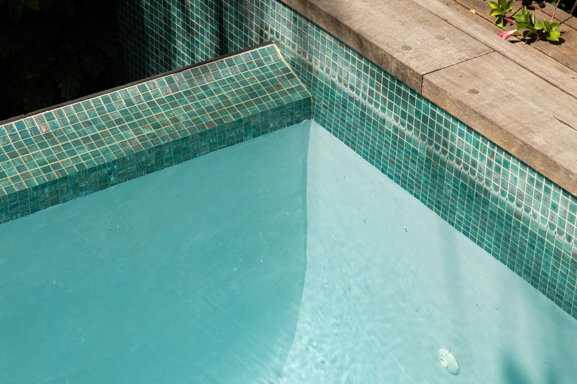 Richmond Road - Topia Garden Design | ArchiPro NZ