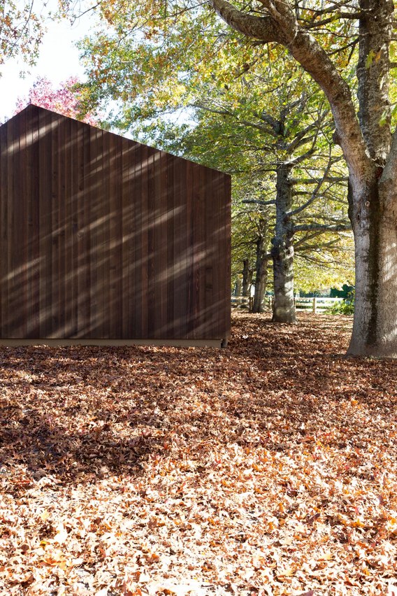 The Cabin Red Architecture | ArchiPro NZ