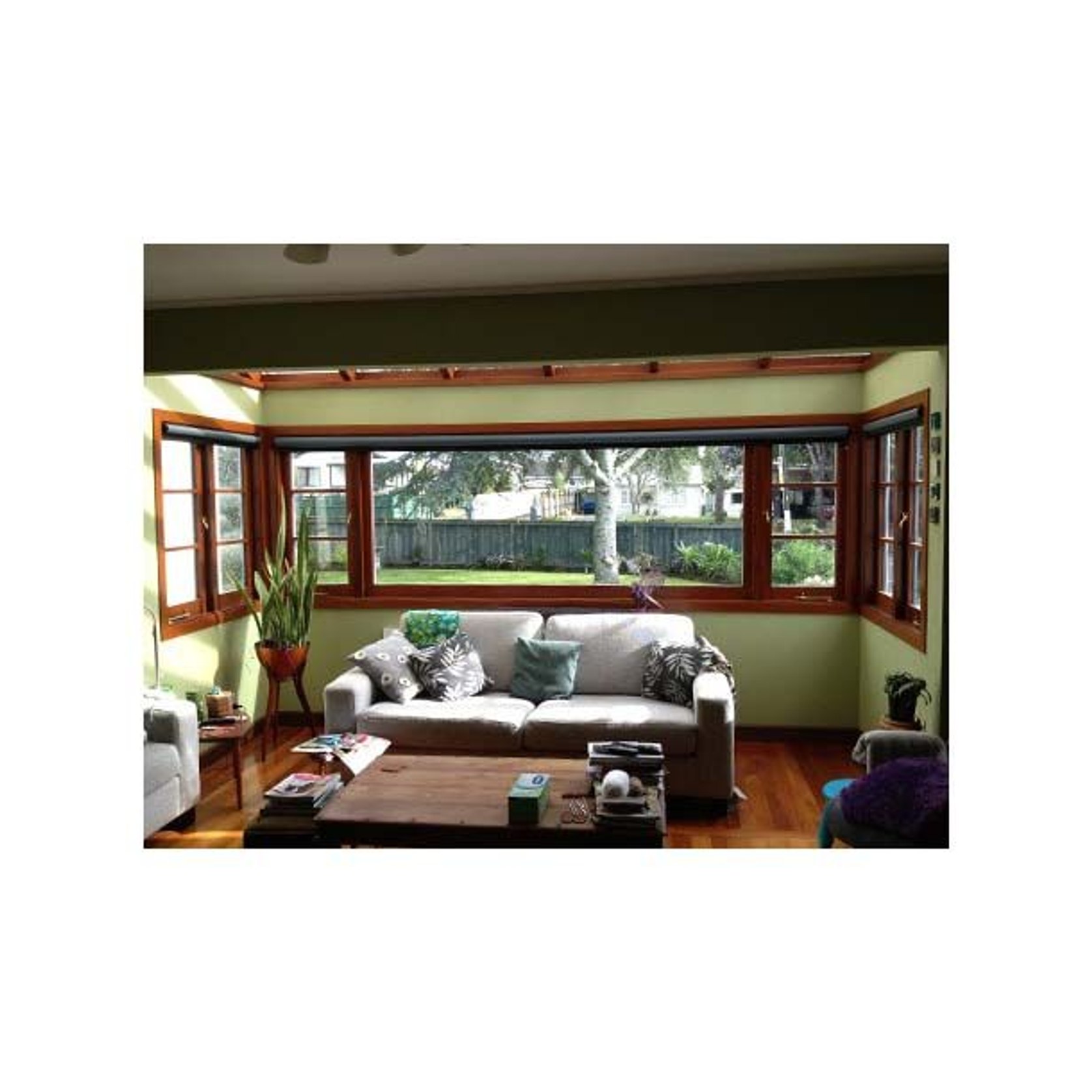 Timber Windows | ArchiPro NZ