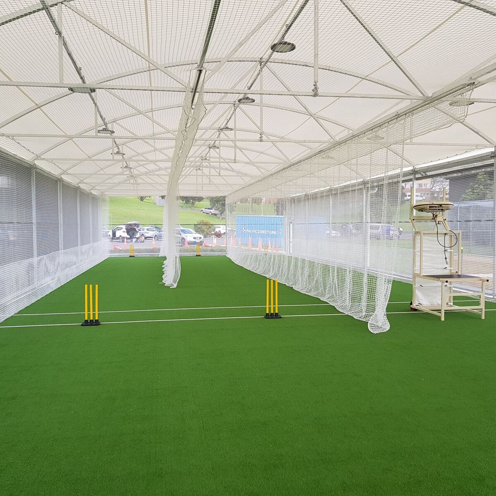 Turf for Cricket Pitch | ArchiPro NZ