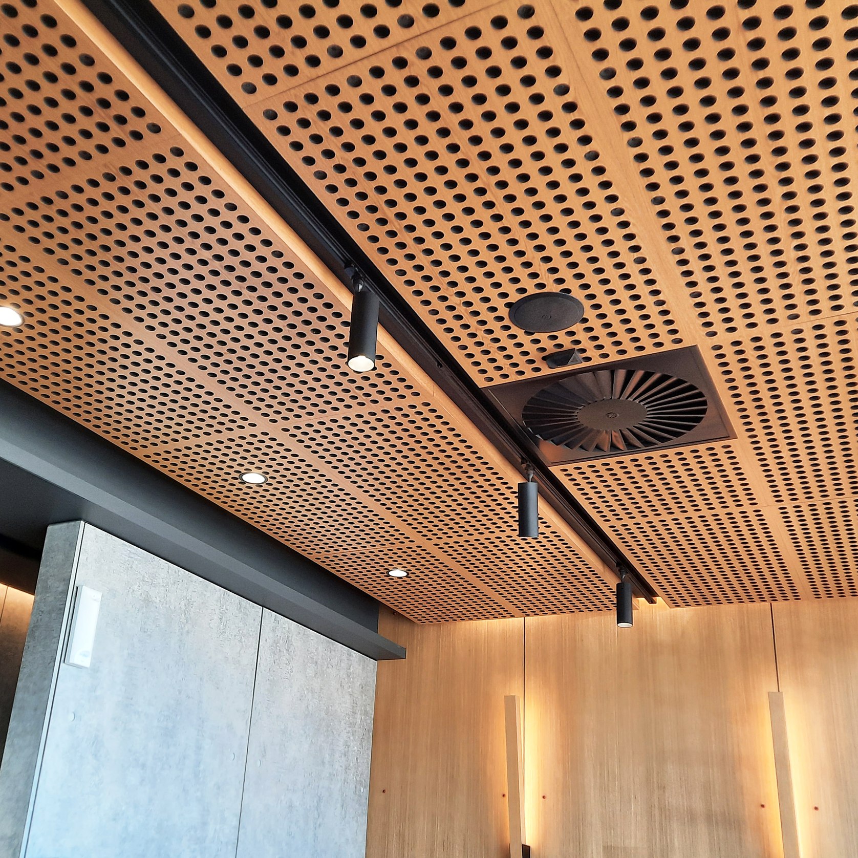 Bosk Perforated Acoustic Timber Panels | ArchiPro NZ