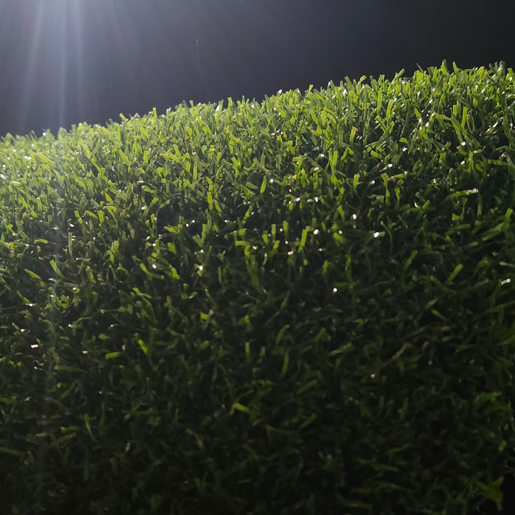 Pure PT | ArchiPro NZ