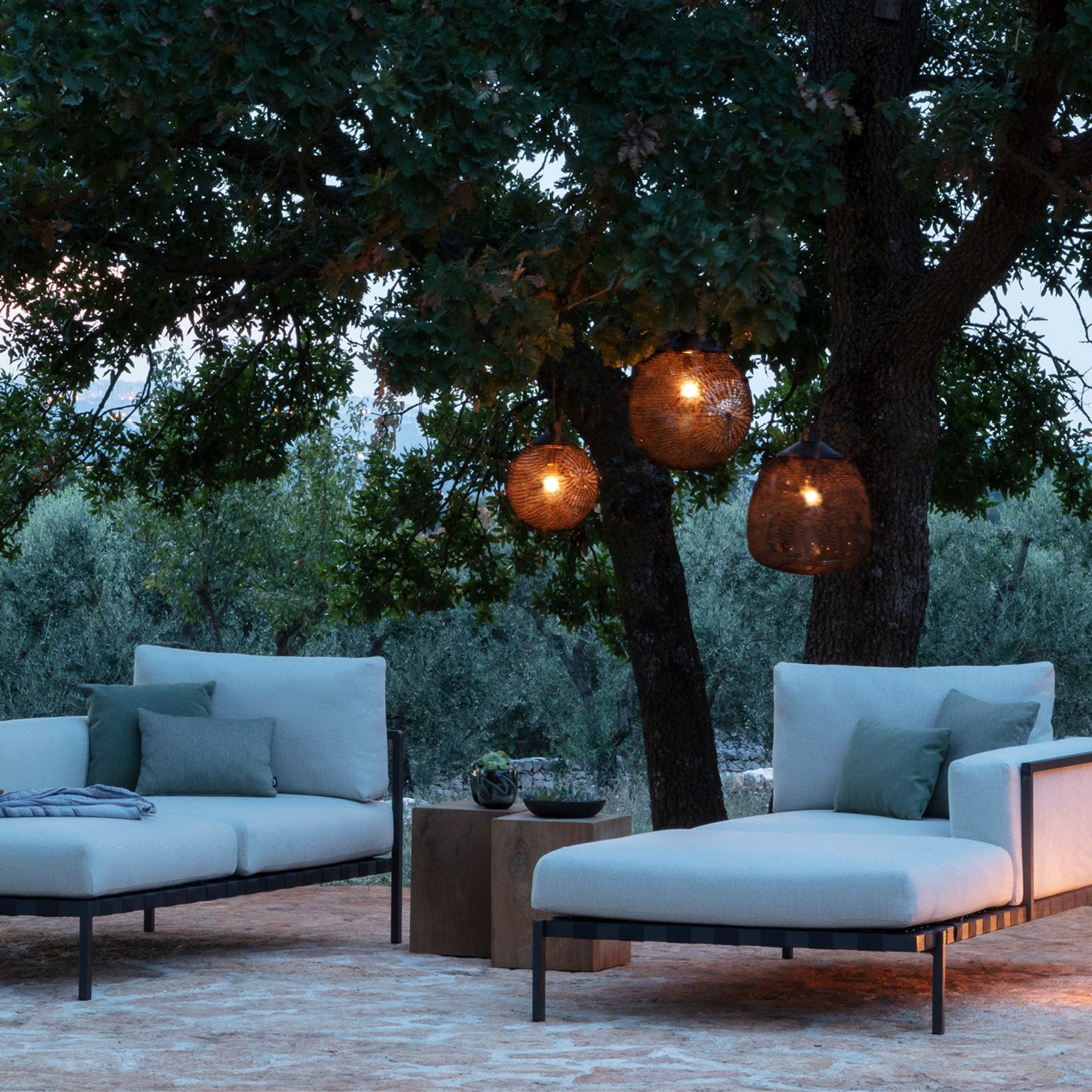 TRIBU Collection | ArchiPro NZ