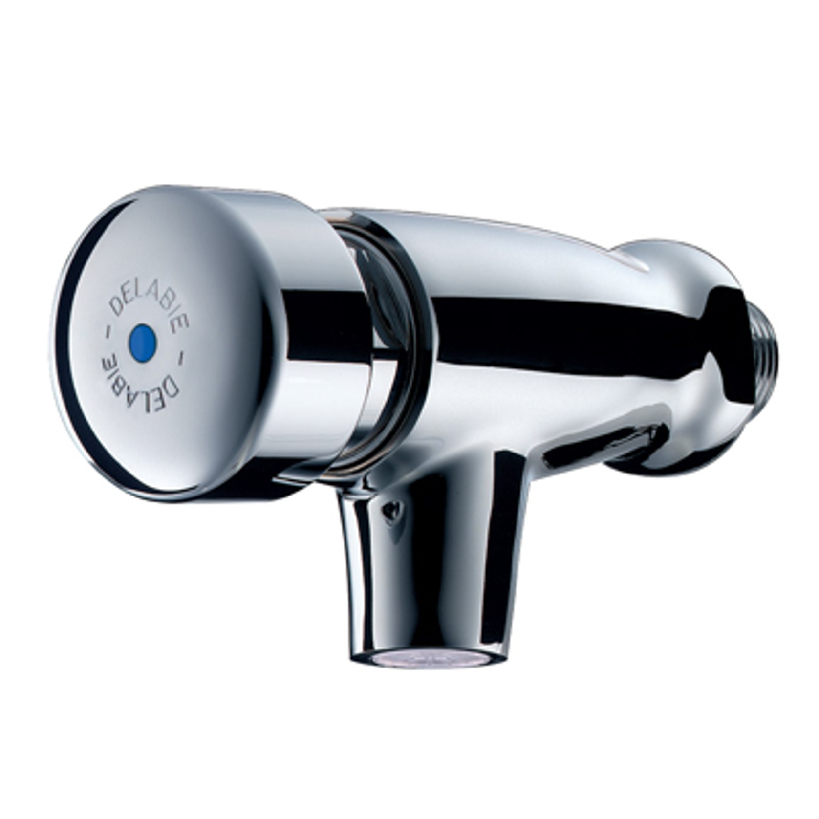 Delabie Tempostop Time Flow Bib Tap | ArchiPro NZ