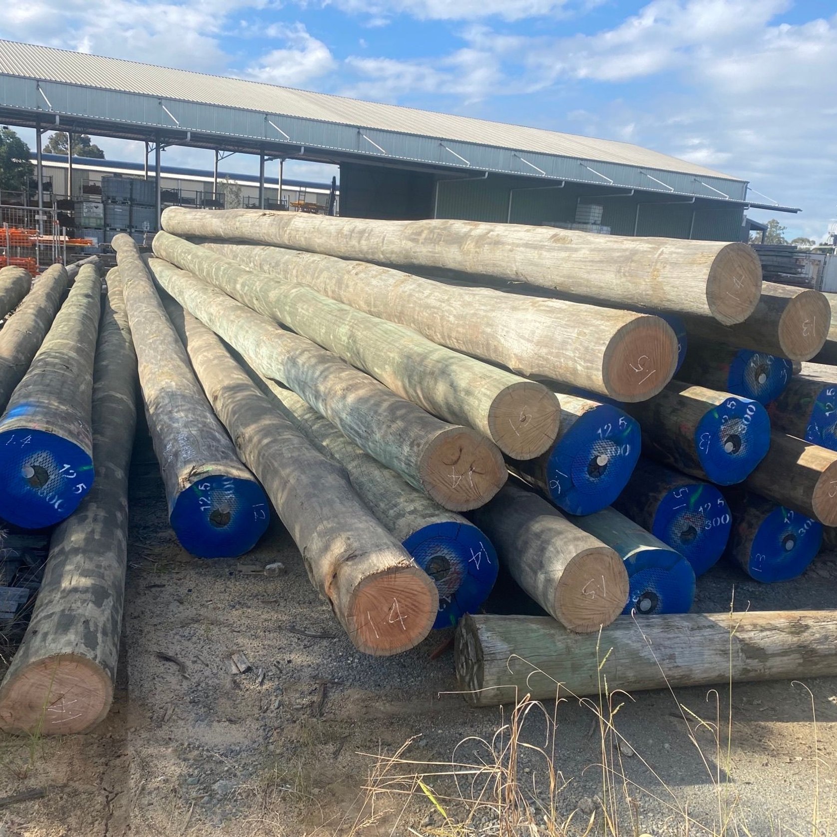 Wharf / Jetty / Marina Hardwood | ArchiPro NZ