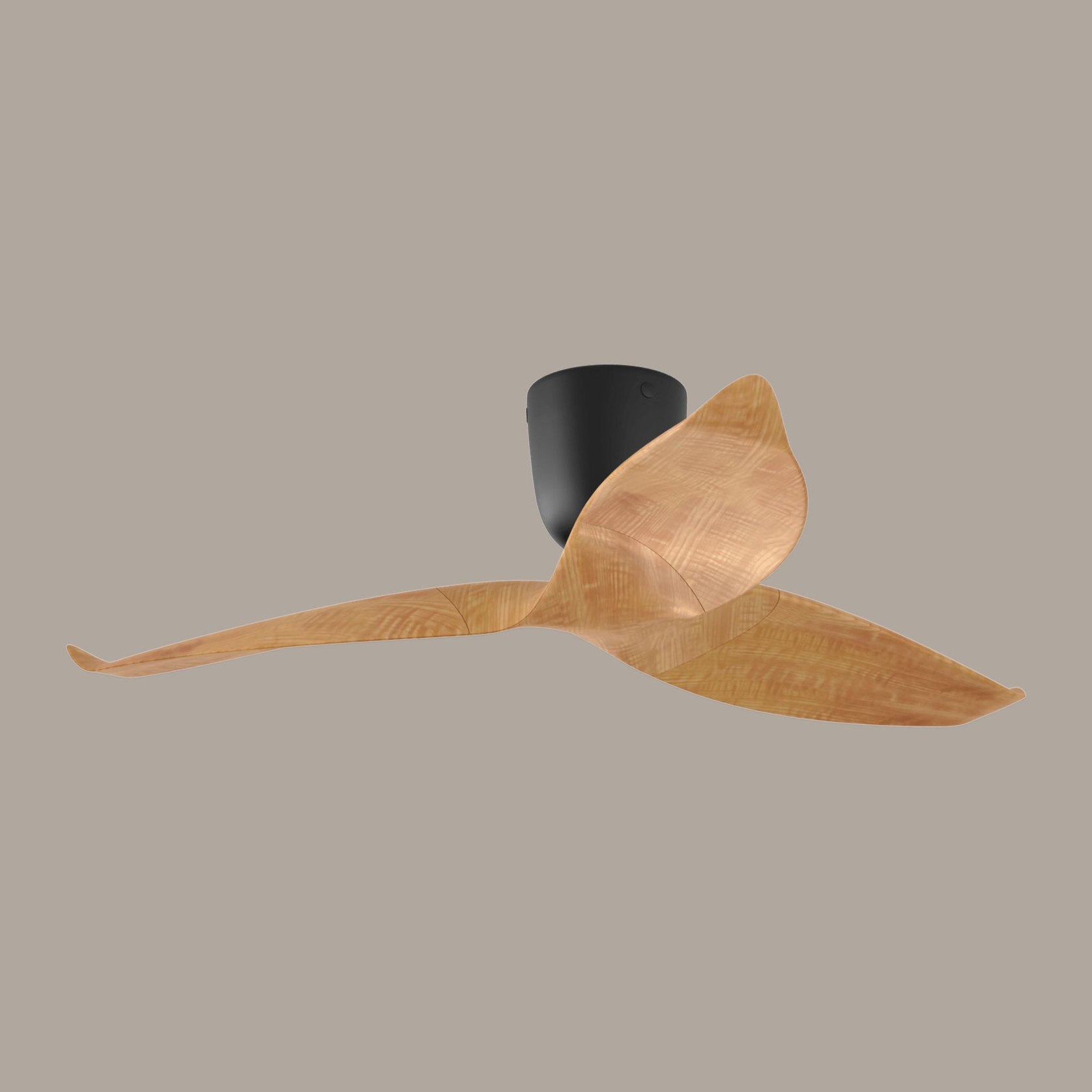 Aeratron AE3+ Ceiling Fan - Black/Light Timber Finish | ArchiPro NZ