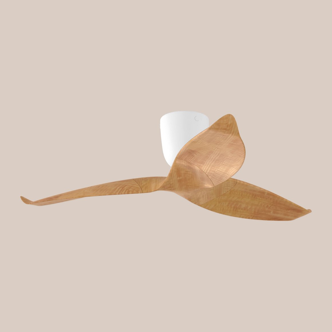 Aeratron AE3+ Ceiling Fan - White/Light Timber Finish | ArchiPro NZ