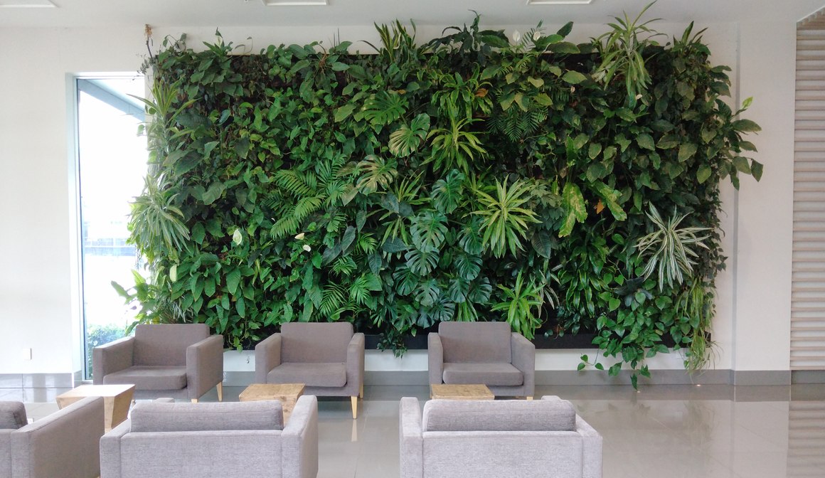 Vertical Live Plant Installations | ArchiPro NZ
