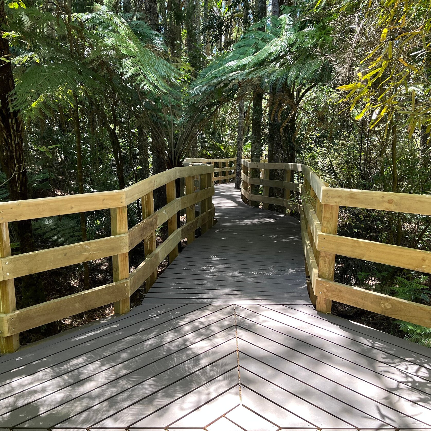 FOREST BOARD | ArchiPro NZ