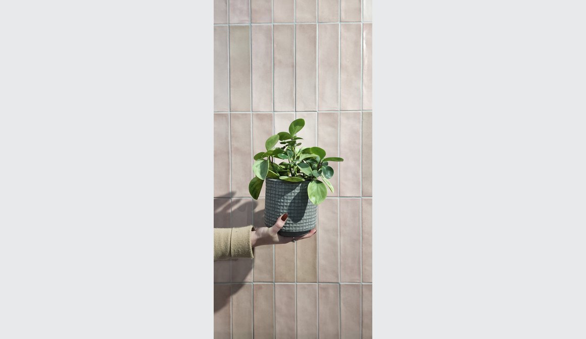 Earth | Wall Tiles | ArchiPro NZ