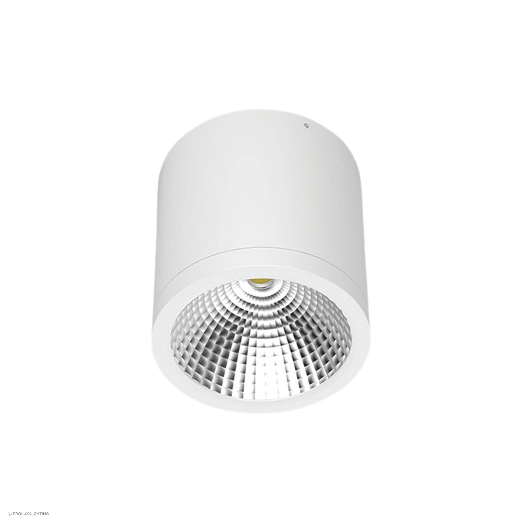 PUKEKOHE DL37 Outdoor Ceiling Light | ArchiPro NZ