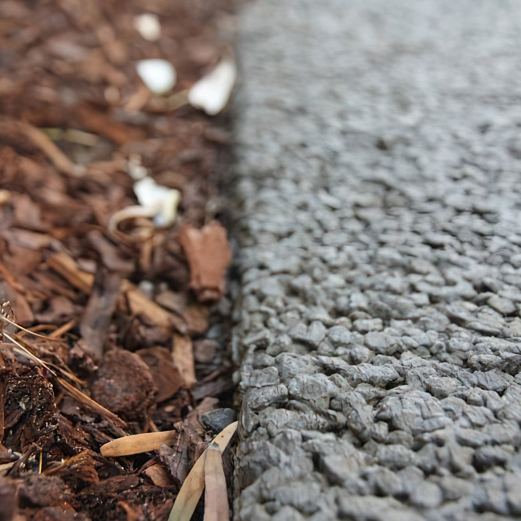 Tree Protection Zones (TPZ) by Permcon | ArchiPro NZ