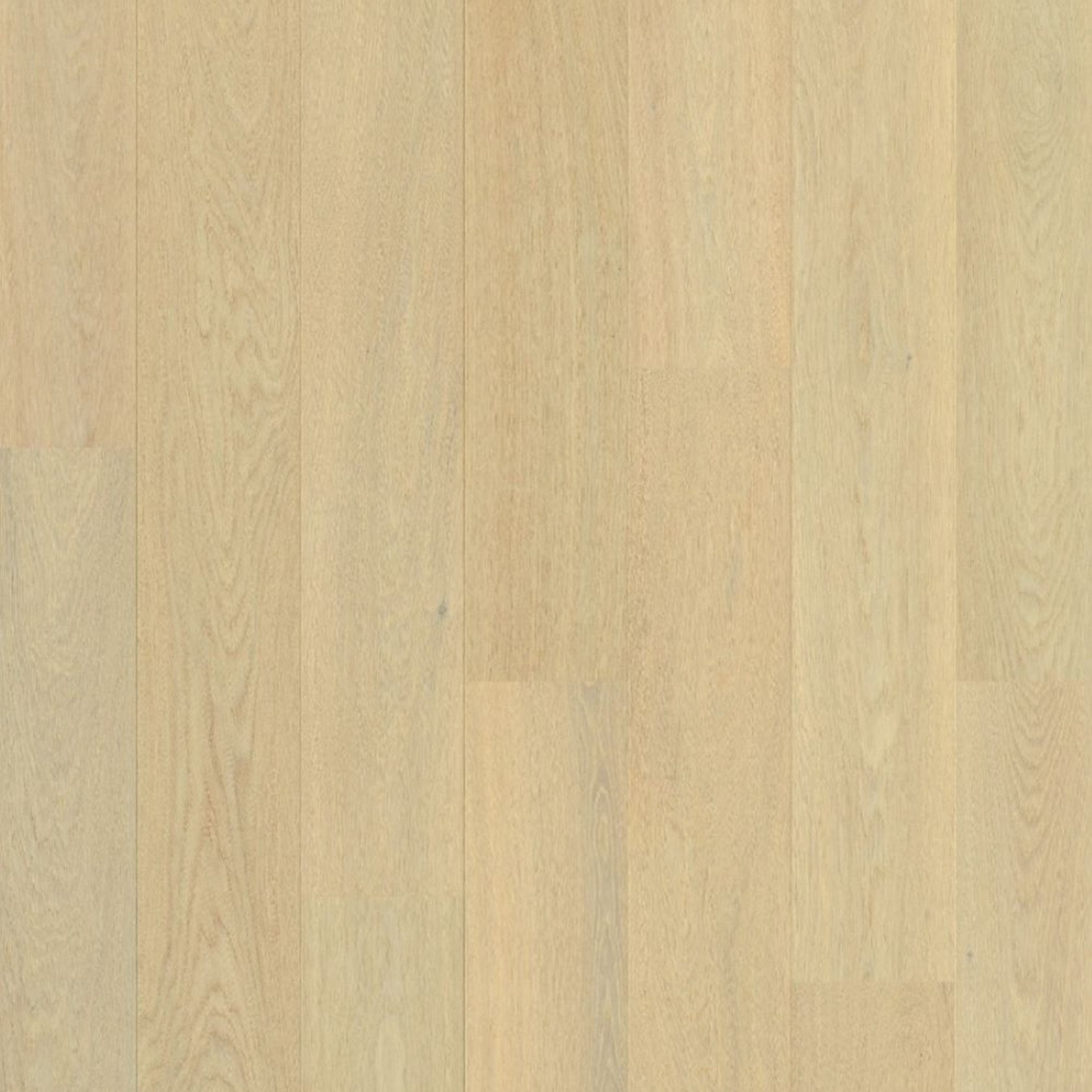 Quick-Step Cascada Creamy White Oak Engineered Wood Flooring | ArchiPro NZ