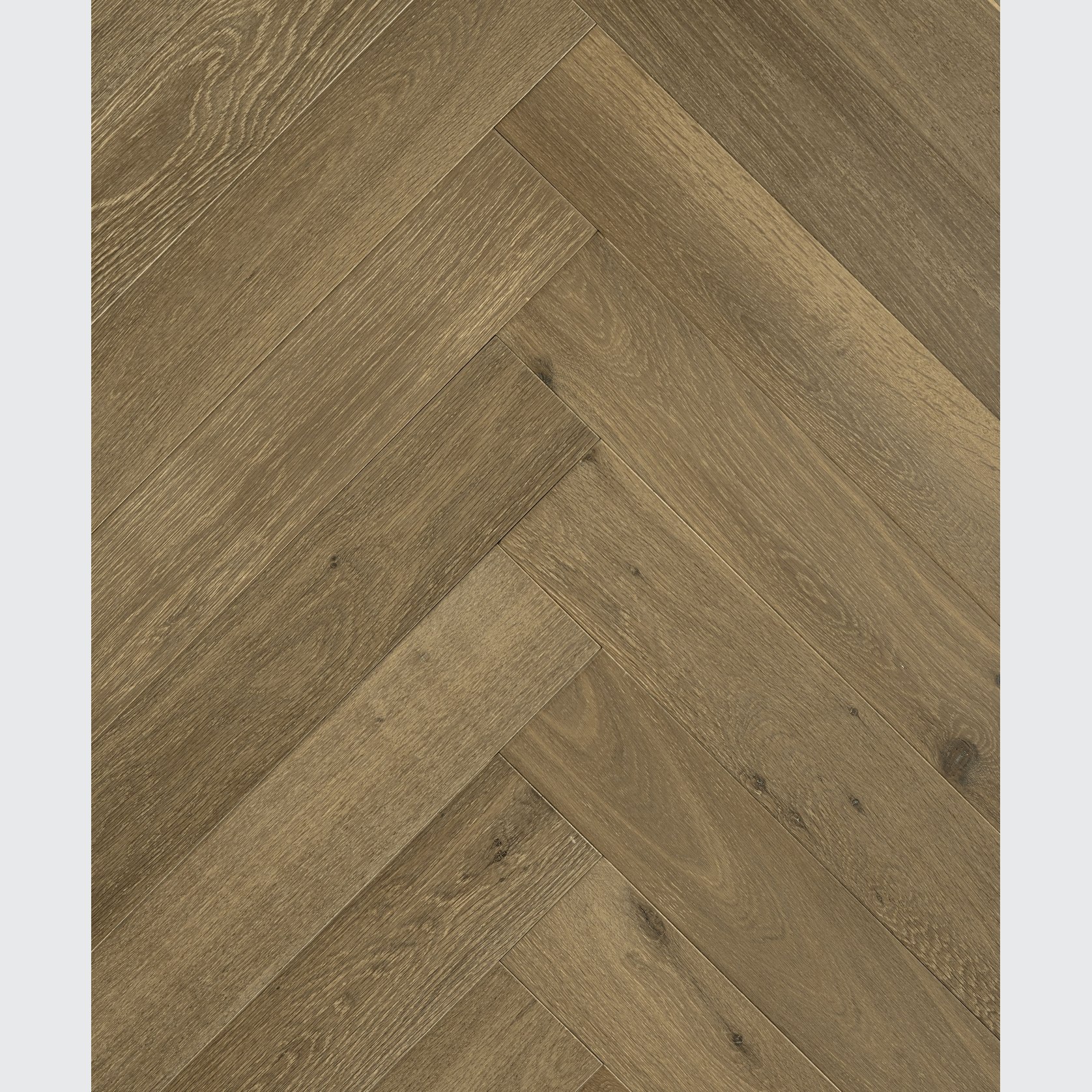 Indus Sahara Herringbone European Oak Flooring | ArchiPro NZ