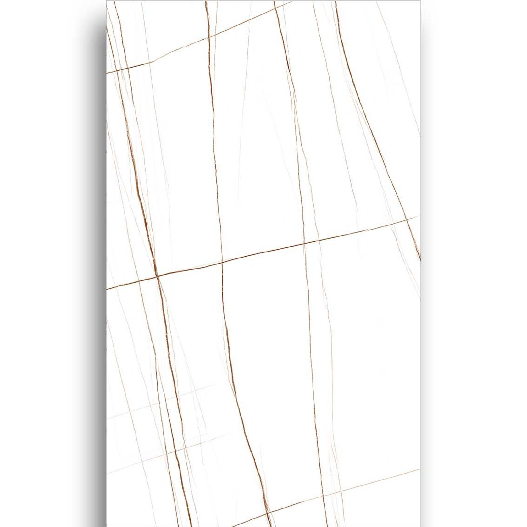 Gold Line White Honed Porcelain Tile 1600x2700 | ArchiPro NZ