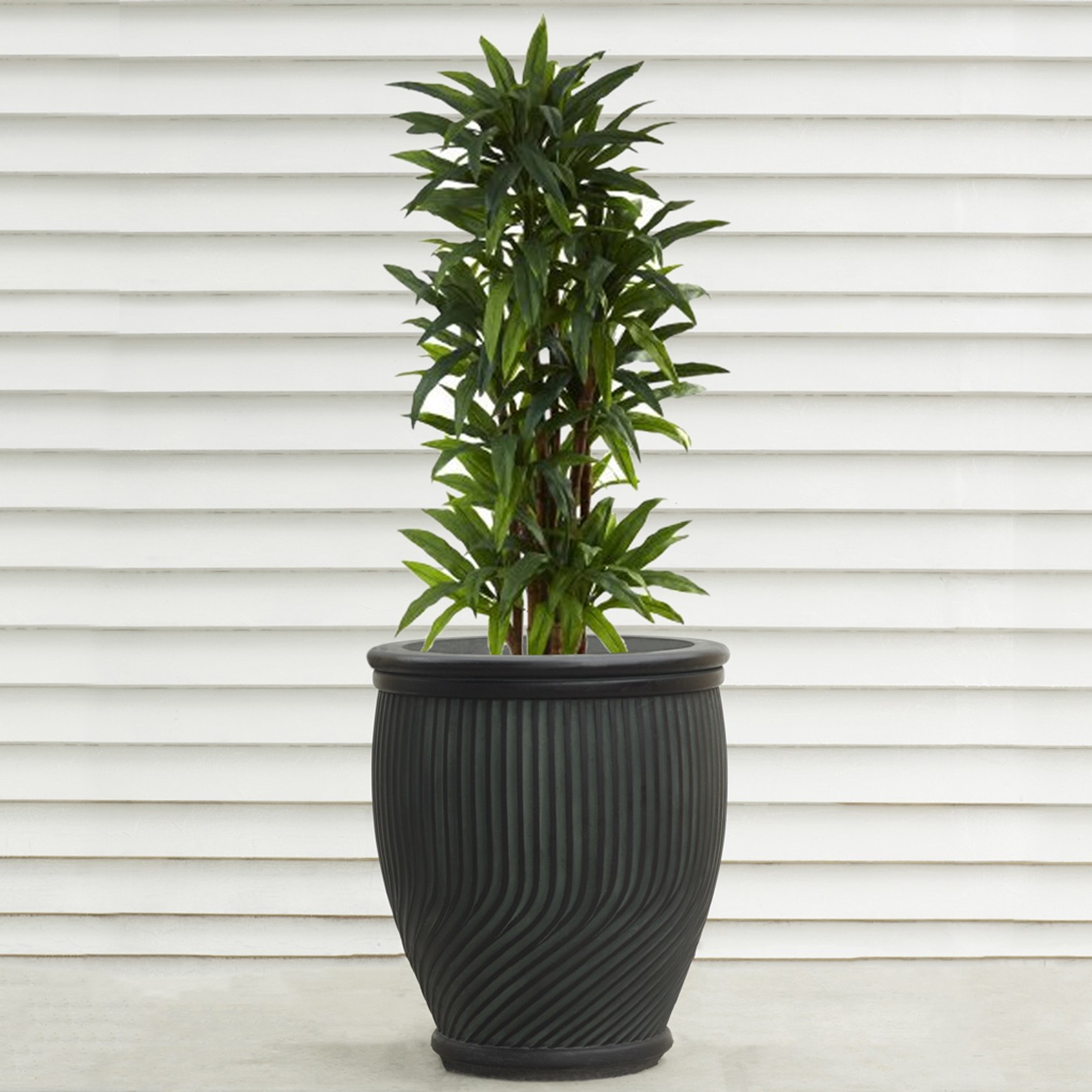 Daisy Anduze Planter | ArchiPro NZ