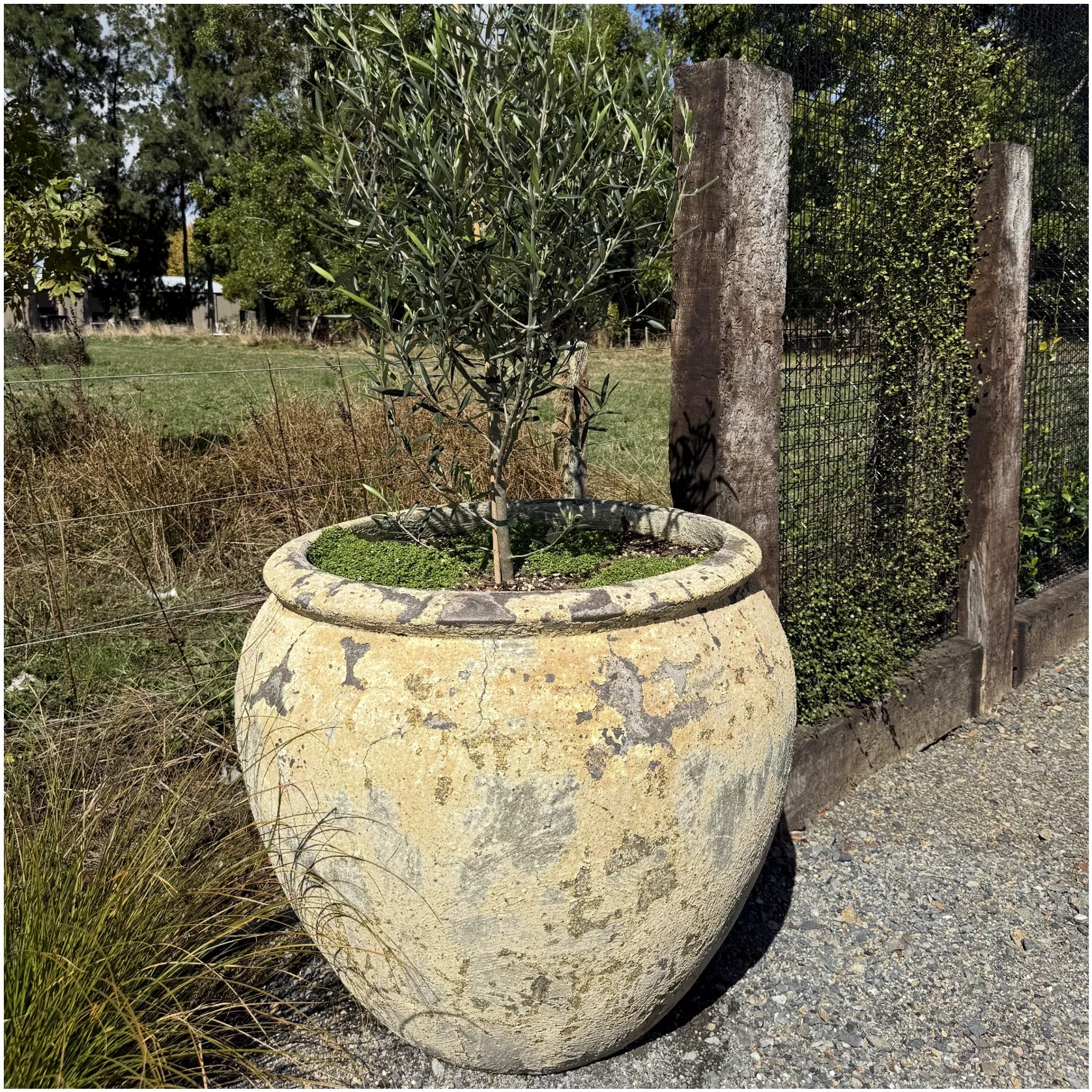 Atlantis - Opium Jar | ArchiPro NZ