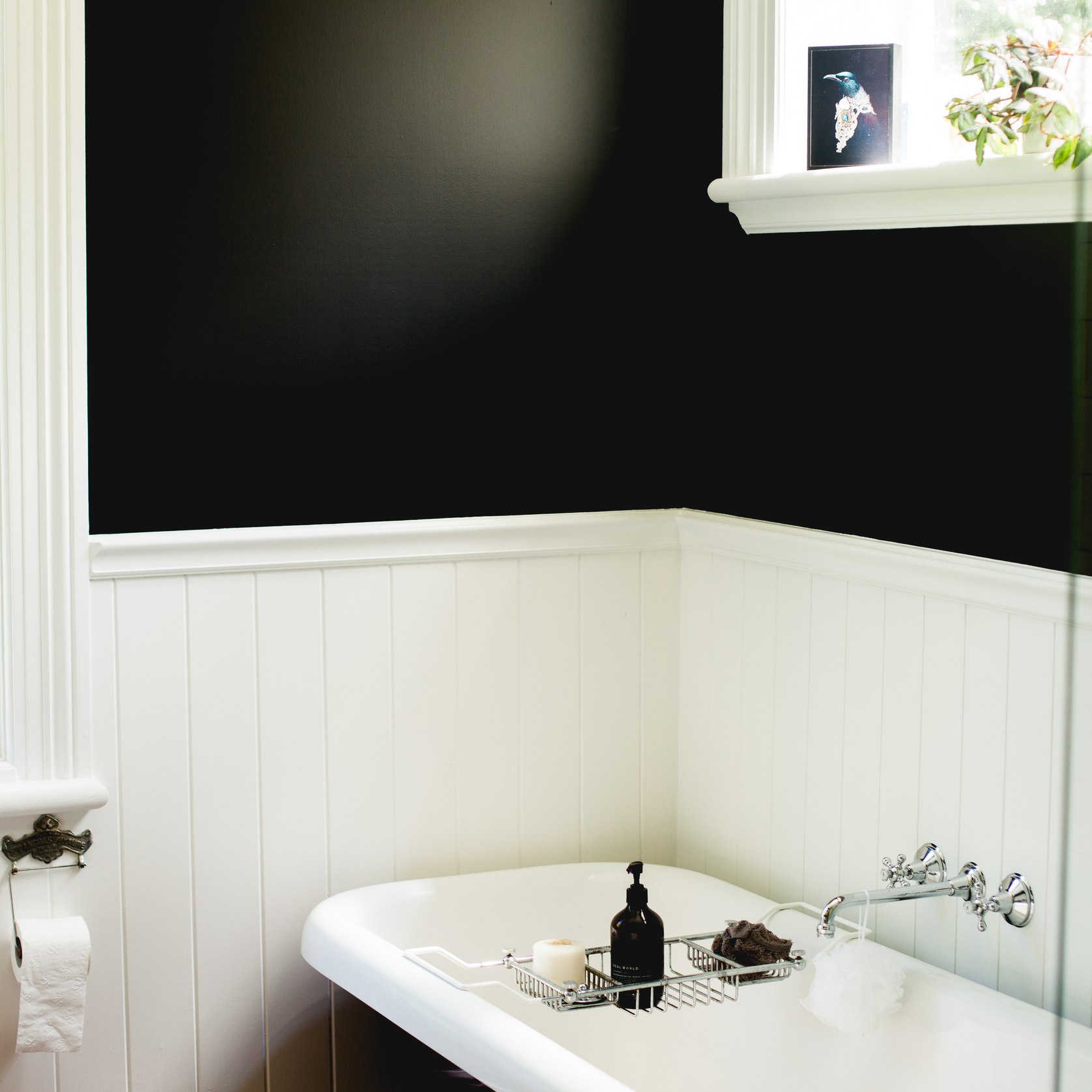 ArmourGuard® | ArchiPro NZ