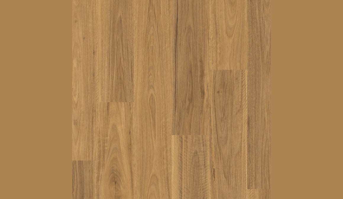 Quick-Step Classic Spotted Gum - Floorscape | ArchiPro NZ