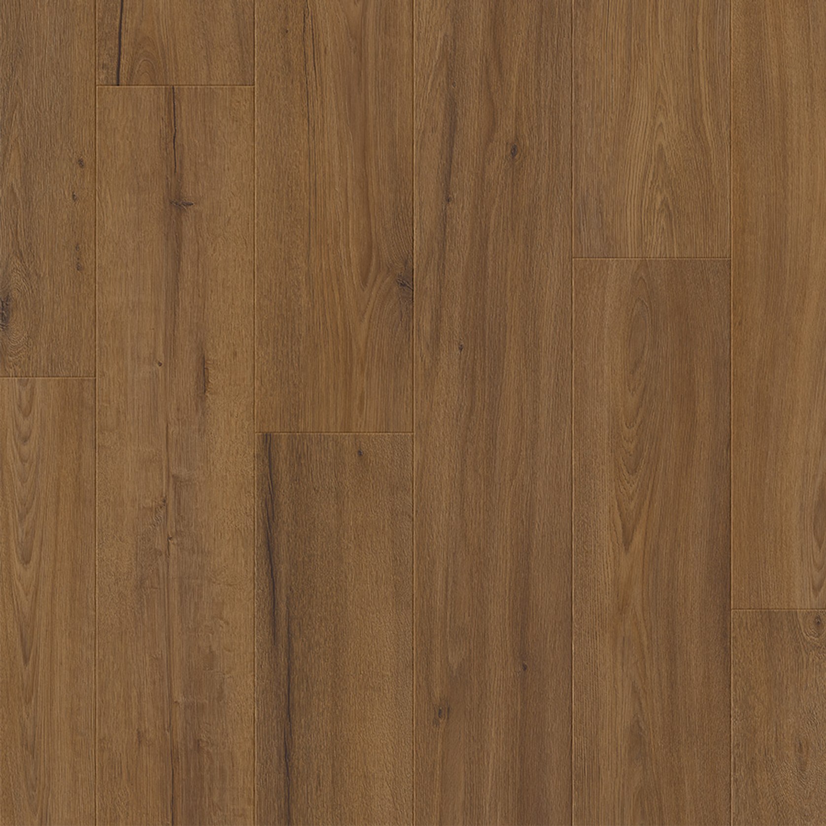 Clix Plus Laminate Flooring in Cinnamon Oak | ArchiPro NZ