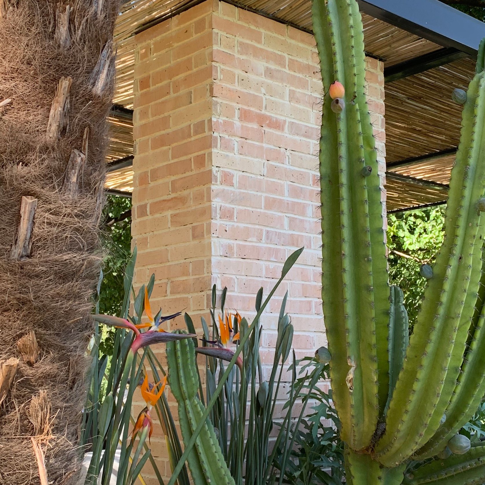 Eco Outdoor Cotto Wall Bricks | ArchiPro NZ