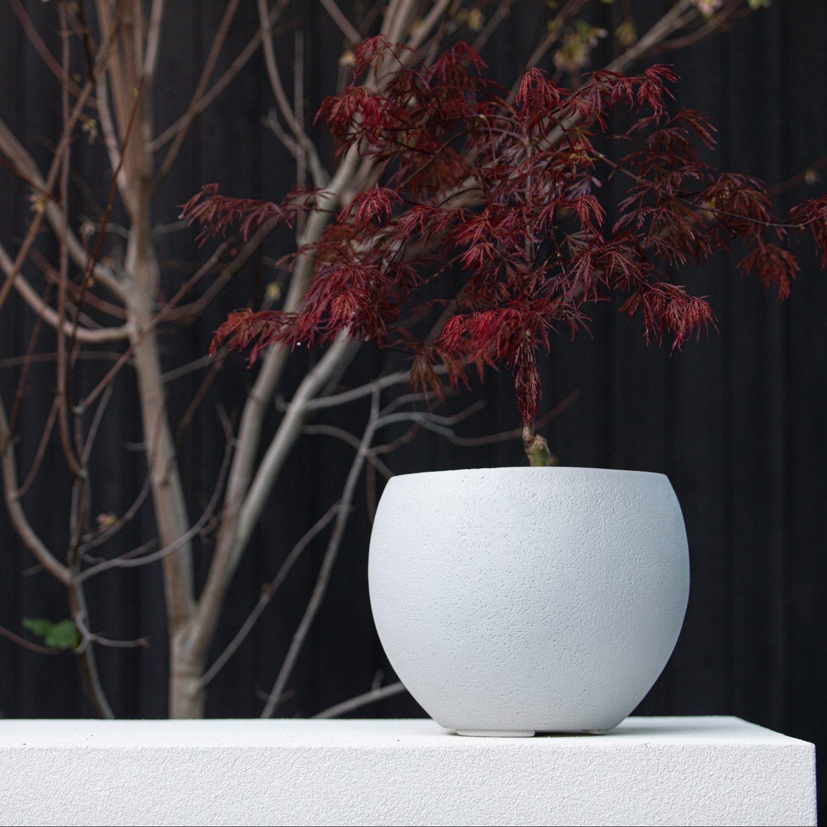 Franoma - Hamilton Planter | ArchiPro NZ