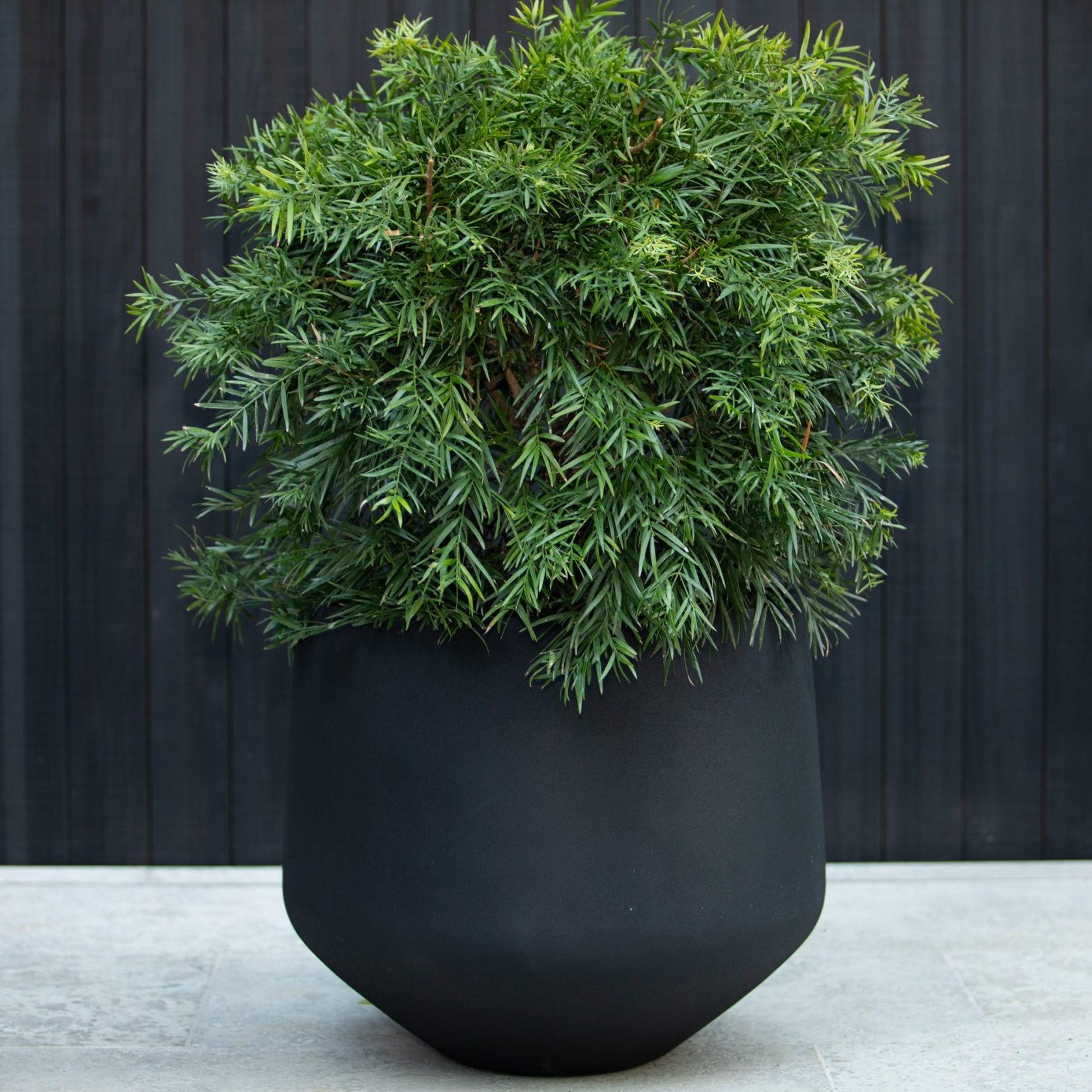 Franoma - Salem Planter | ArchiPro NZ