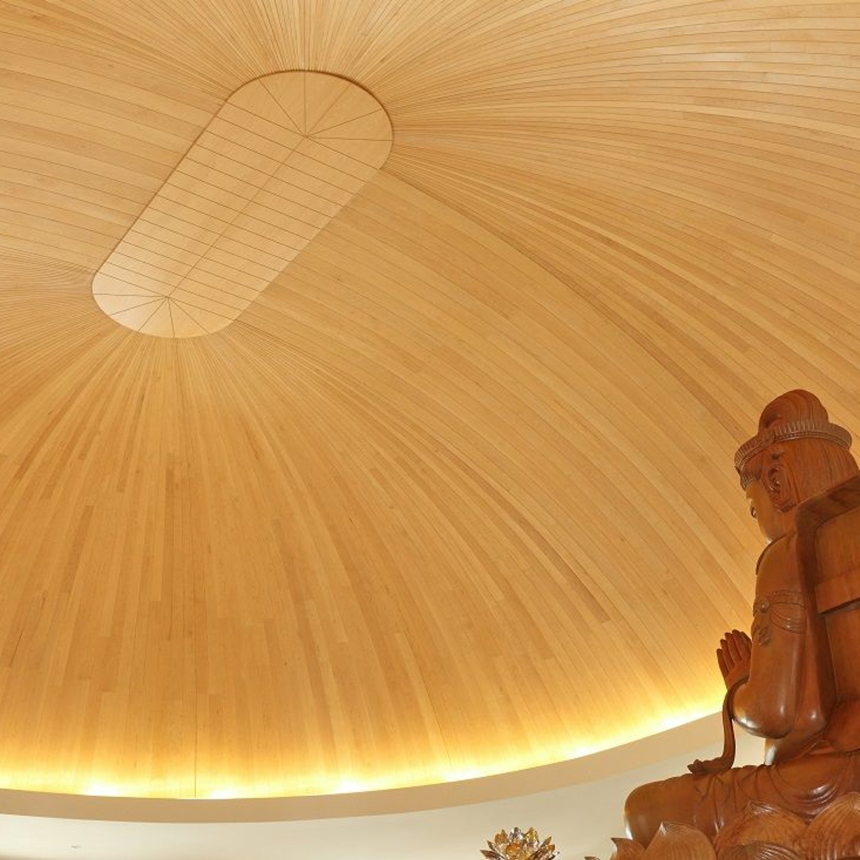 American Hard Maple | ArchiPro NZ