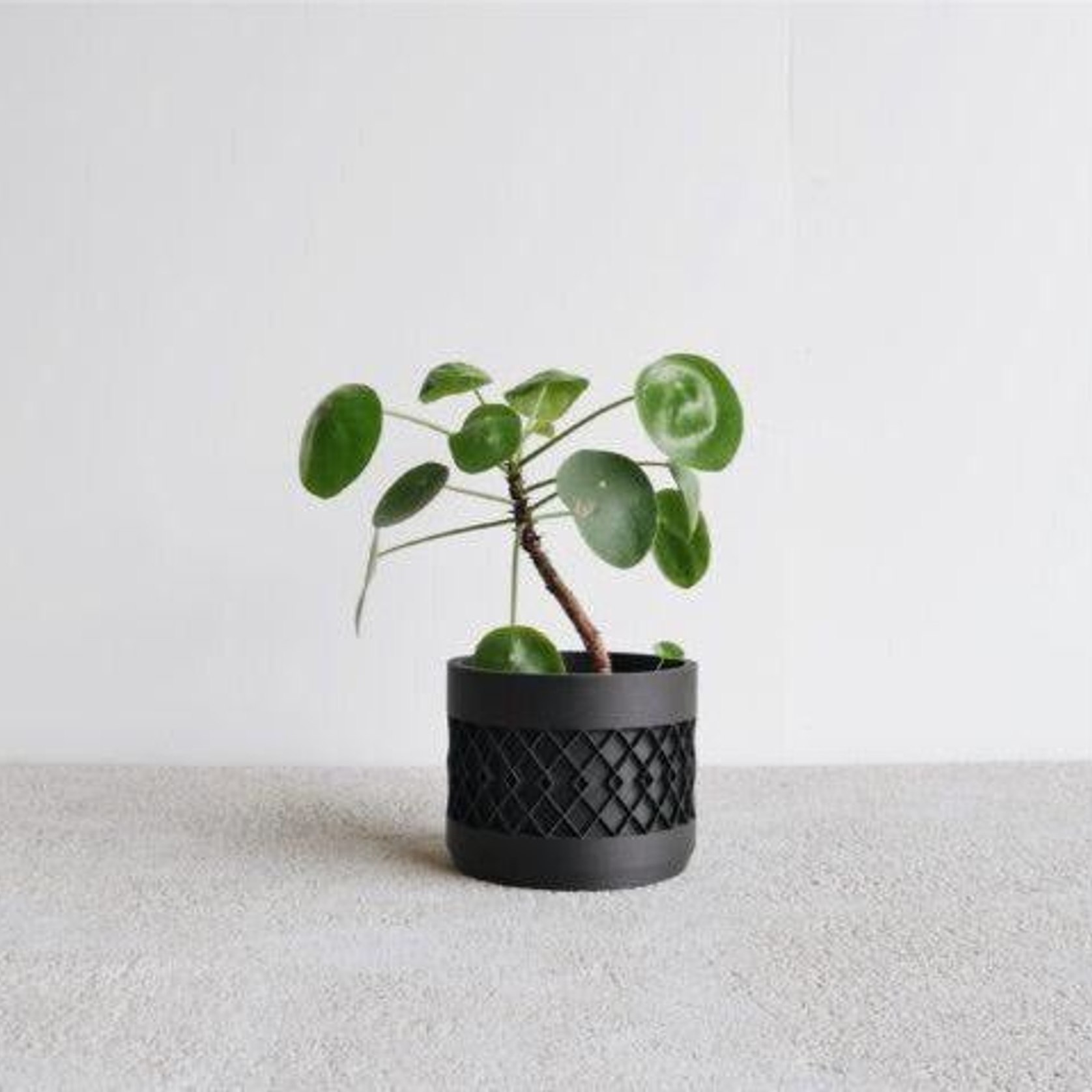 Aztek Black Planter | ArchiPro NZ