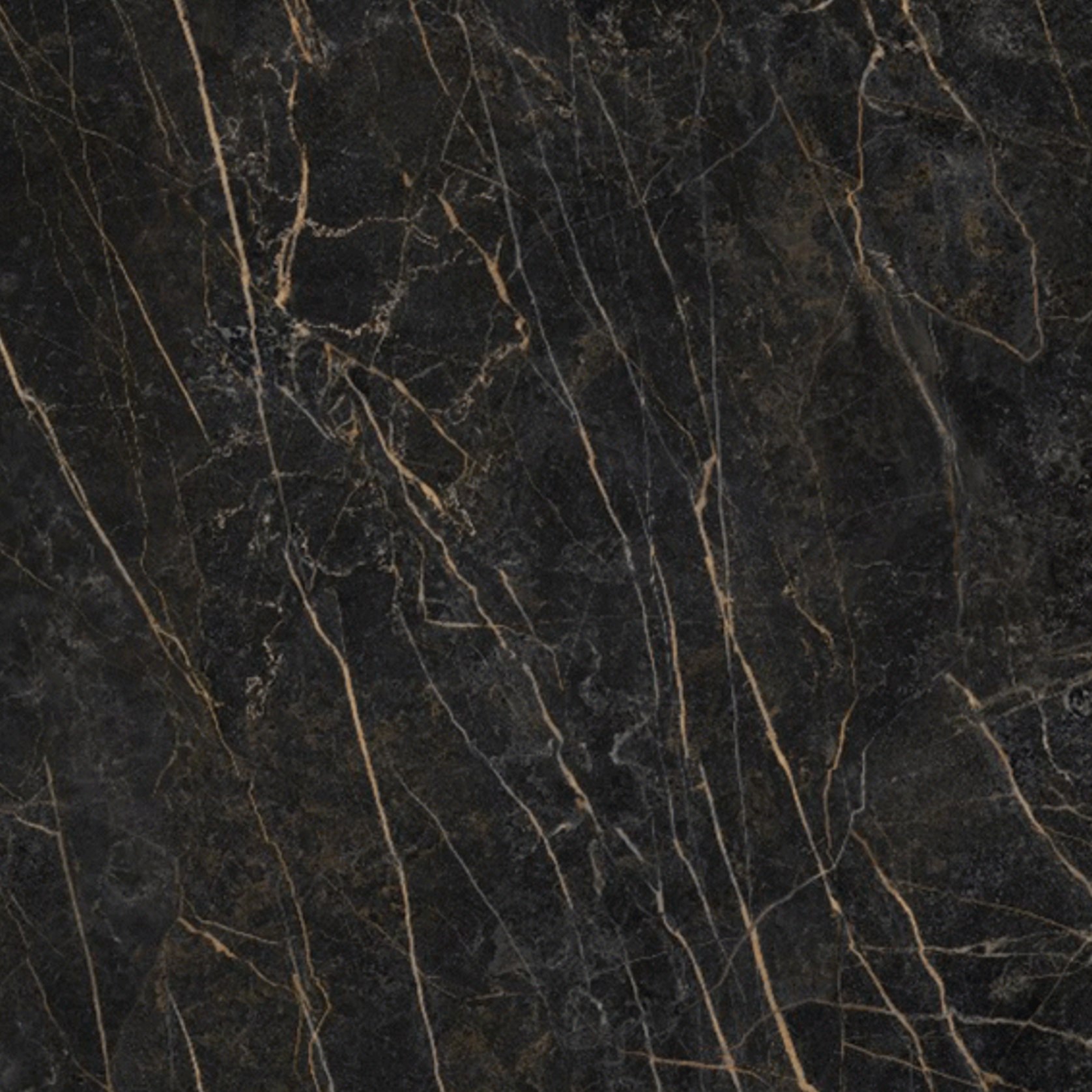 Black Obsession | ArchiPro NZ