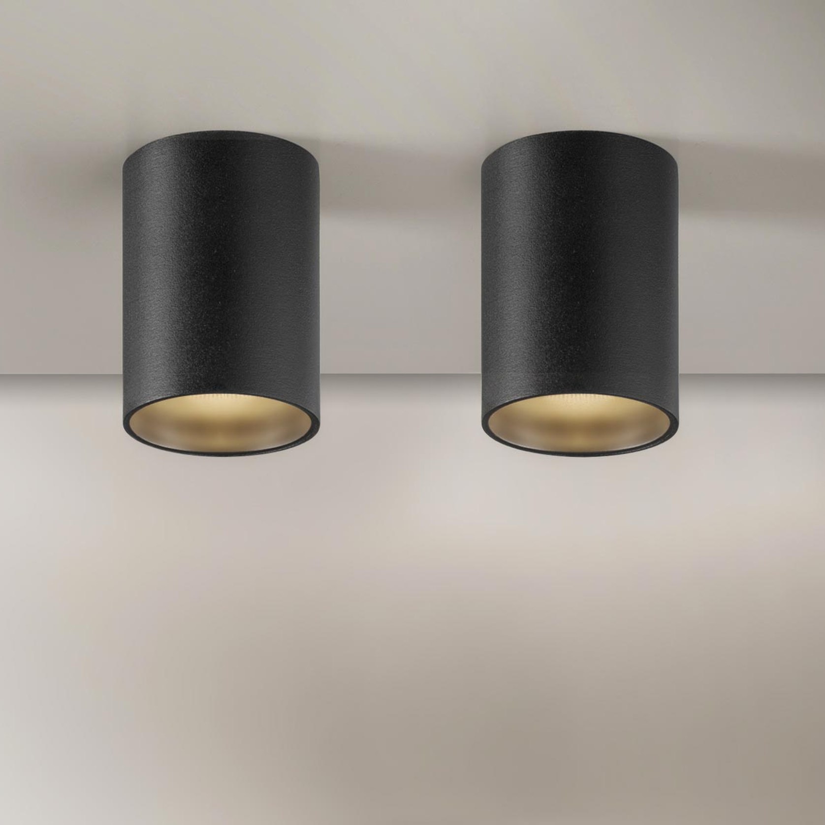 Carl Spot and Can Light | ArchiPro NZ