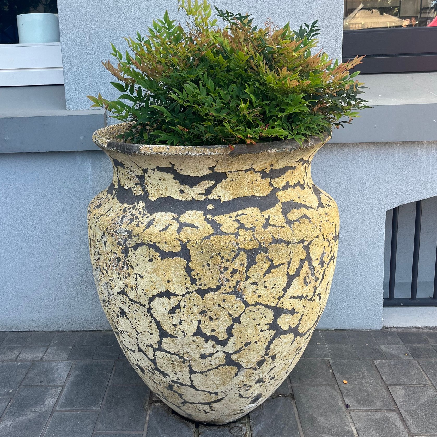 Atlantis - Skorpio Jar (No Lines) | ArchiPro NZ