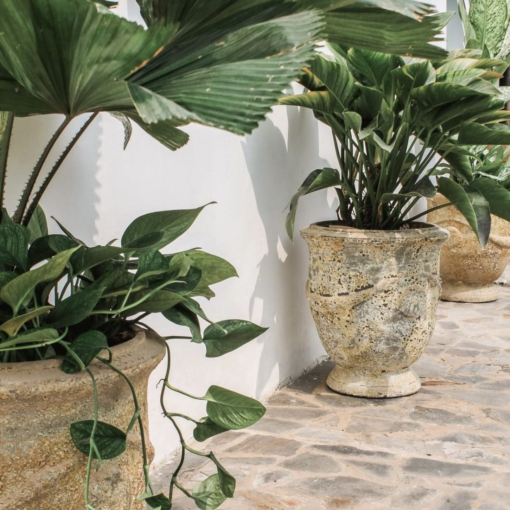 Atlantis - French Planter | ArchiPro NZ