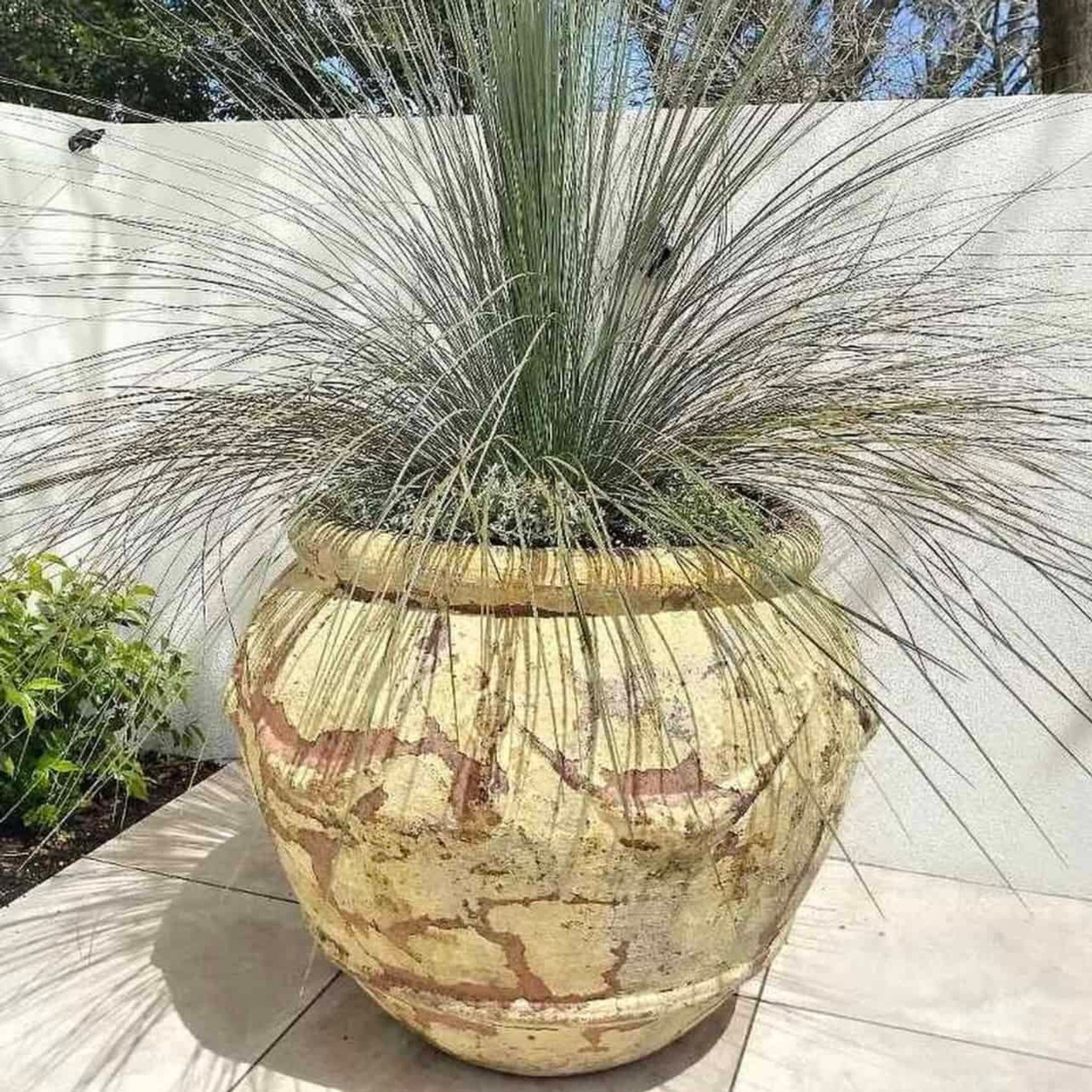 Atlantis - Pot Pouri | ArchiPro NZ