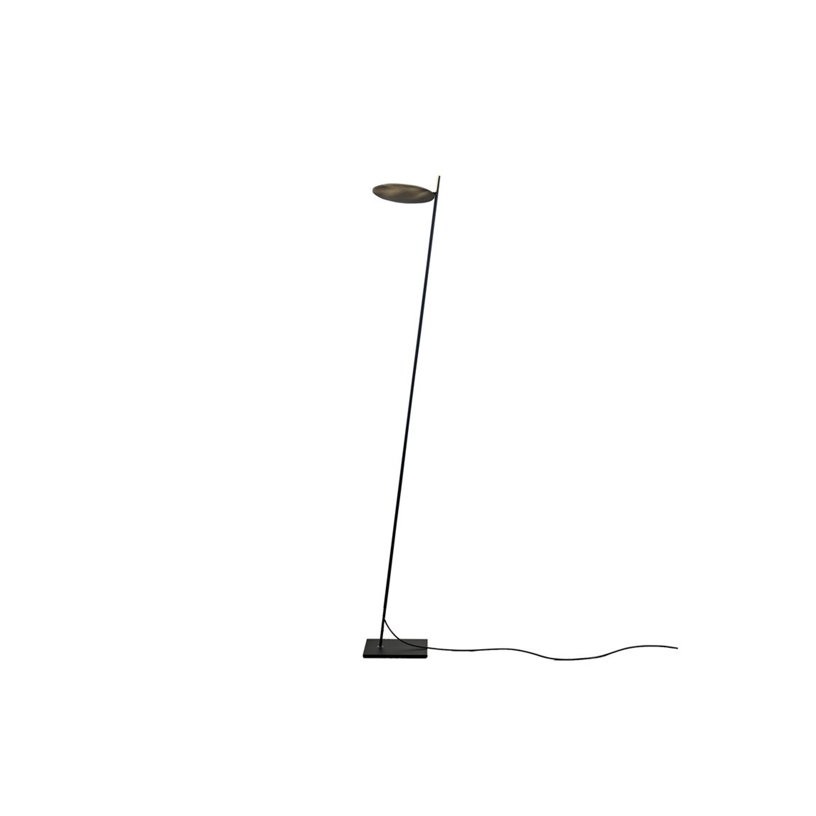 Lederam F0 | ArchiPro NZ