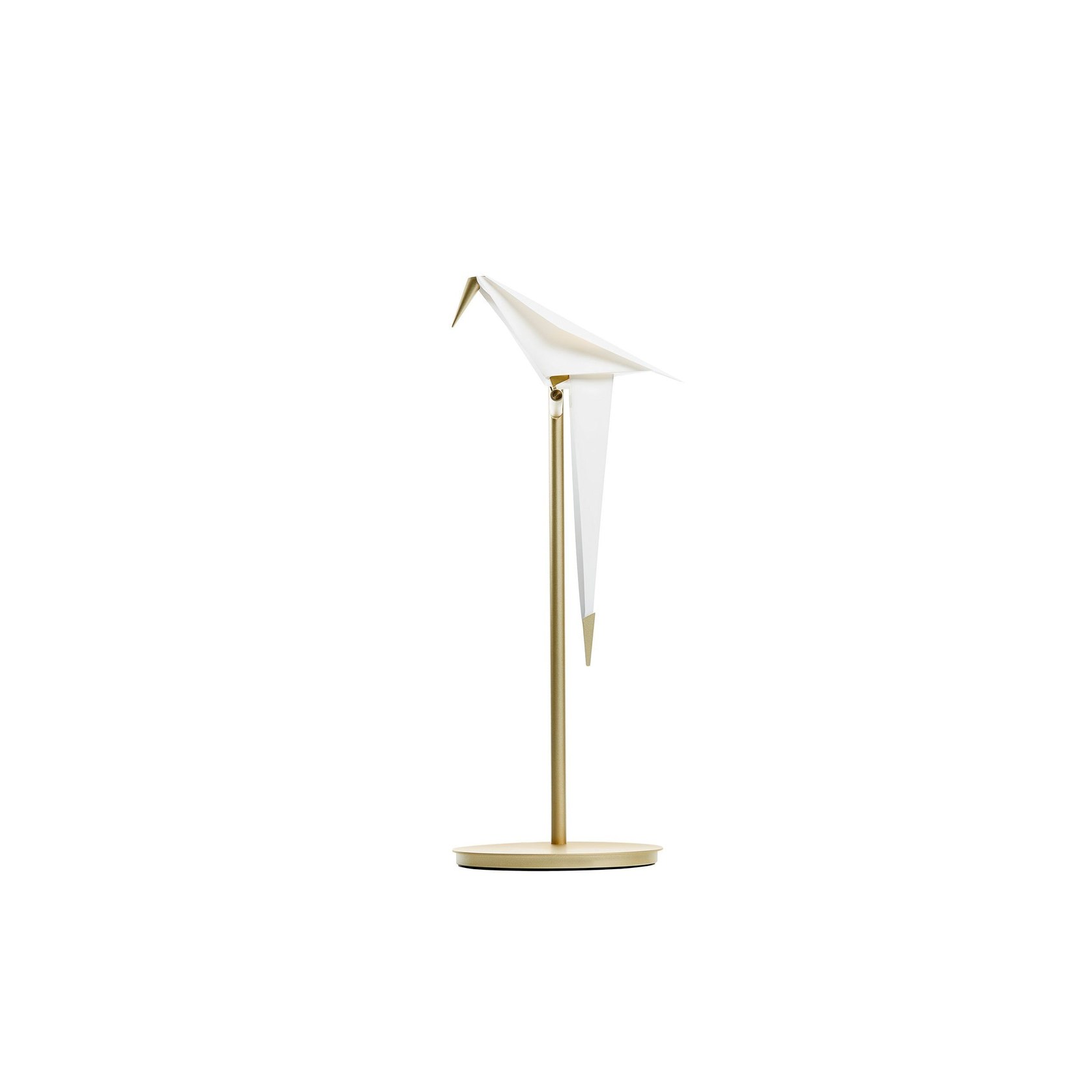 Perch Table light | ArchiPro NZ