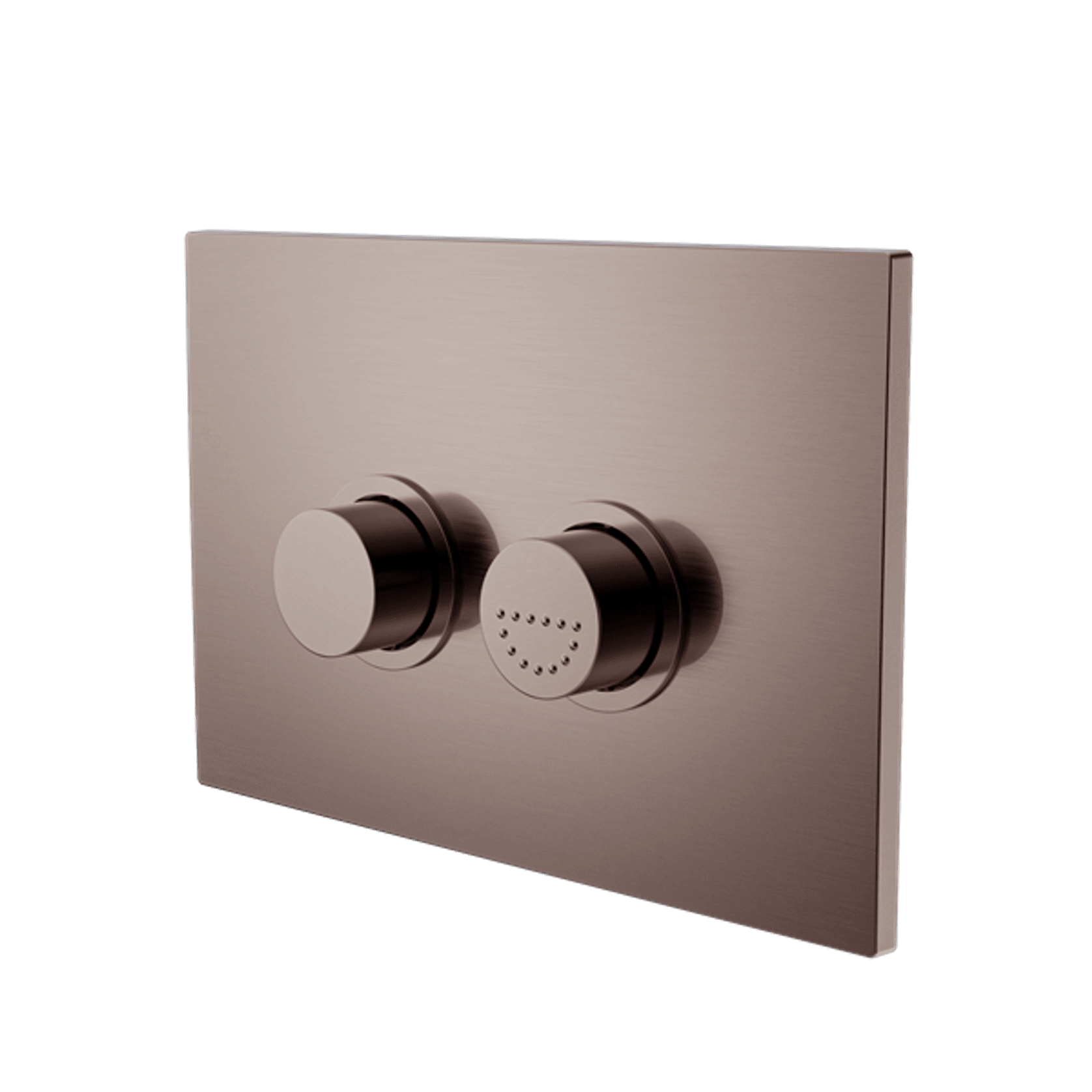 Mecca Care Raised Disabled Care Pneumatic Flush Buttons Plate DDA ...